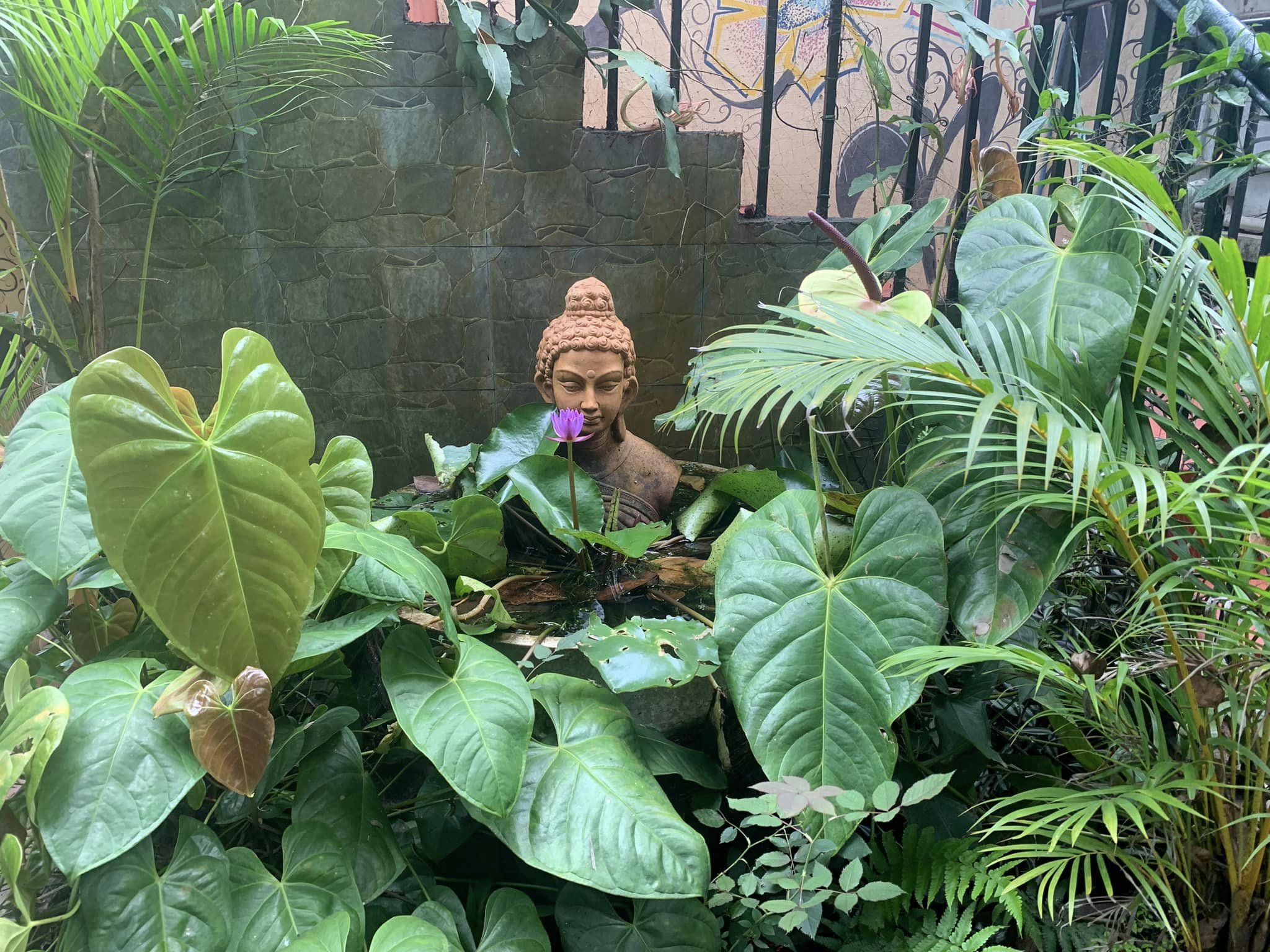 India in Pictures - VI Yoga School